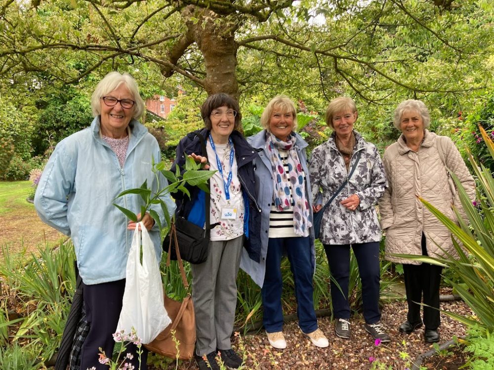 Gardening - Flaming June Finally Fizzled out! - Southport U3A